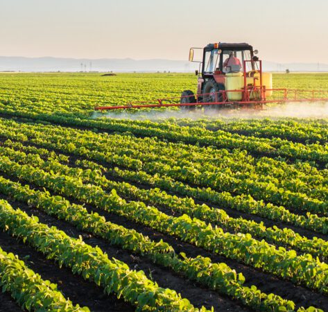 What You Need to Know About FSMA 204: The Food Traceability Final Rule ...