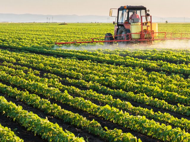 What You Need to Know About FSMA 204: The Food Traceability Final Rule ...