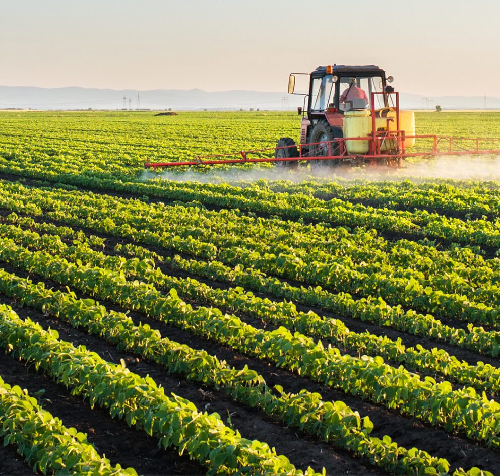 What You Need to Know About FSMA 204: The Food Traceability Final Rule ...