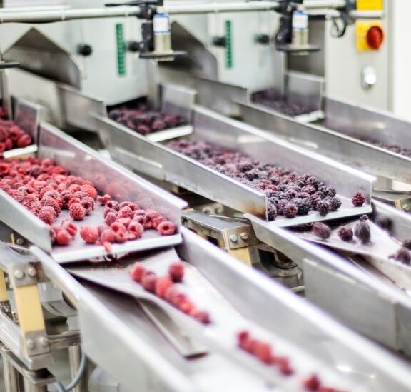 Food Safety Solutions for Food Manufacturers & CPGs | Trustwell