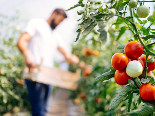 Webinars | Trustwell