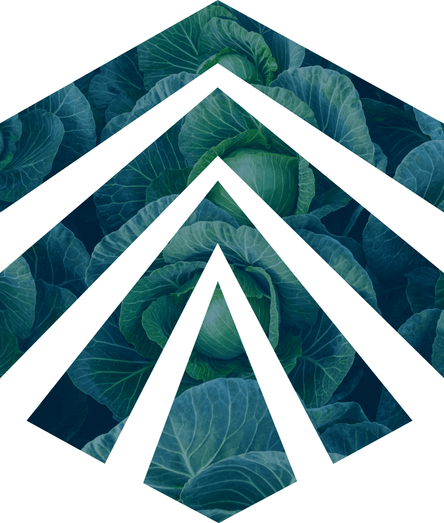 Get Started with Trustwell Connect | Trustwell