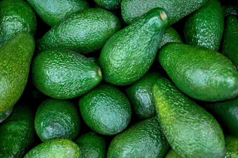 Food Traceability Software | Trustwell