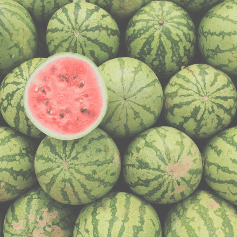 FSMA 204 Summer Series | Trustwell